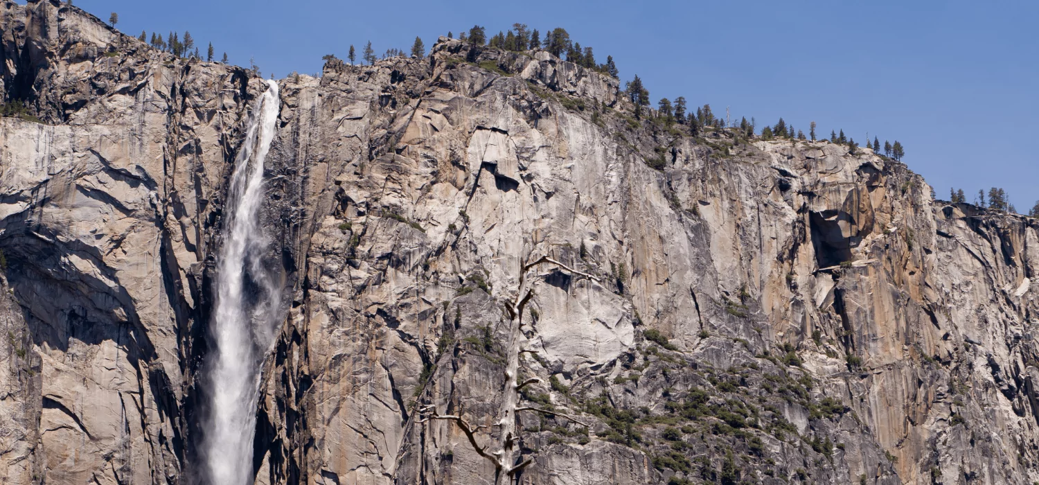 10 Best Things to do in Yosemite in Spring - Extranomical Tours