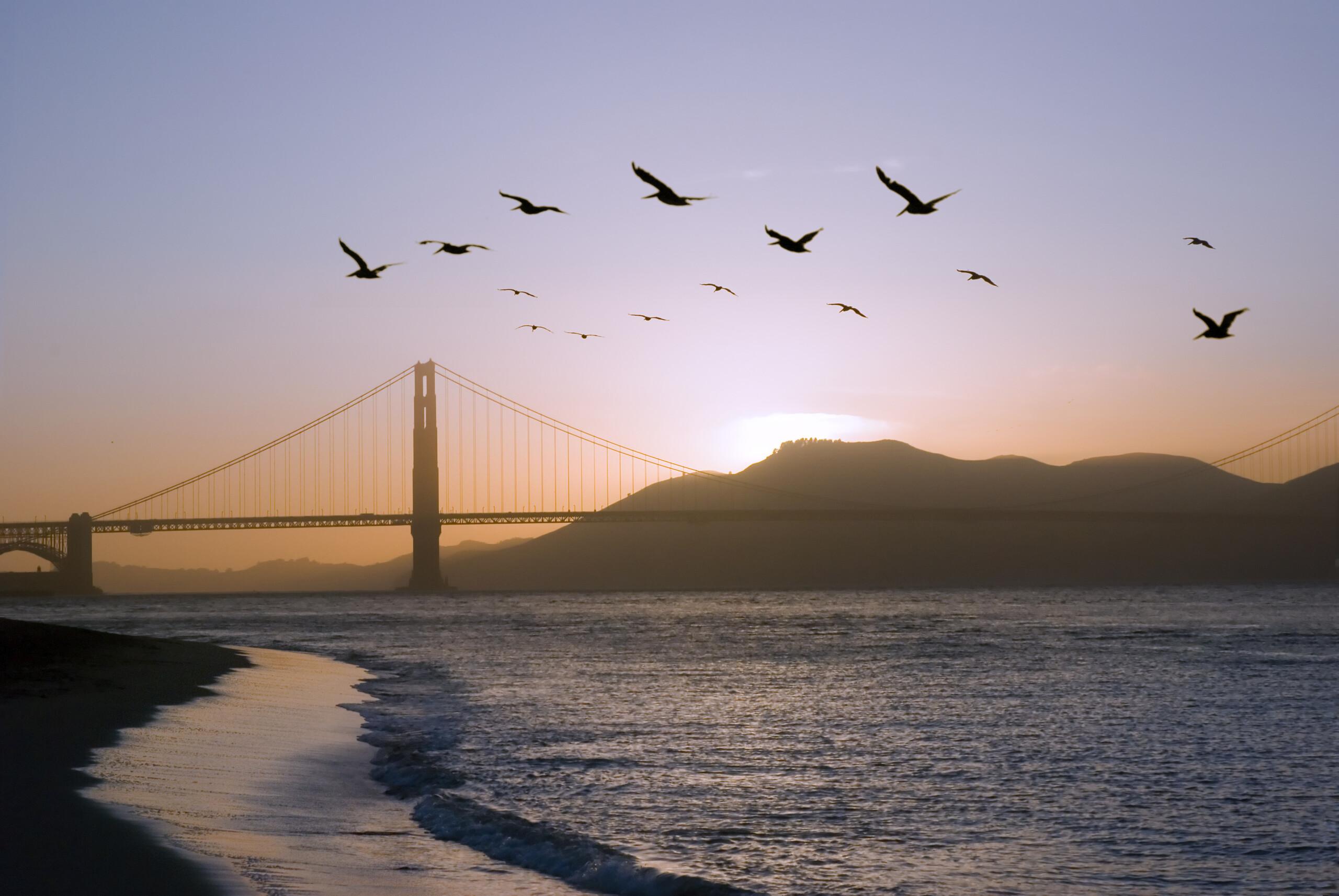 San Francisco Sunset Sail - Extranomical Tours