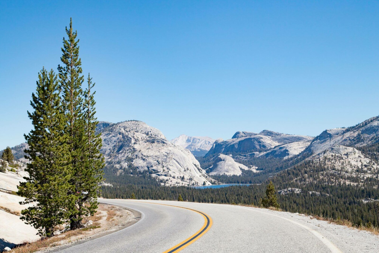 How to Get to Yosemite From San Francisco: The 4 Best Ways ...