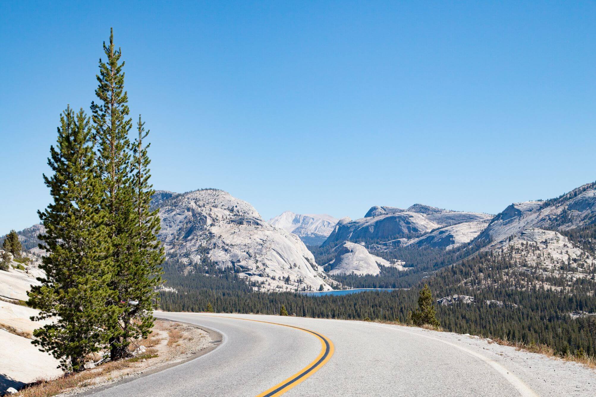 How to Get to Yosemite From San Francisco: The 4 Best Ways ...